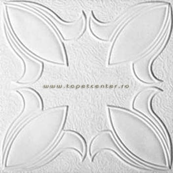 Tavan decorativ - Tavan decorativ