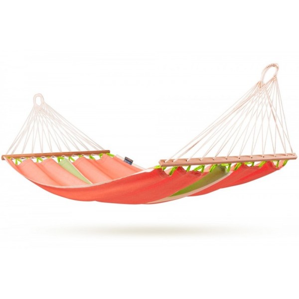 Hamace adulti - Hamace adulti